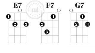 Tổng hợp các hợp âm Ukulele cơ bản và cách đánh