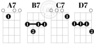 Tổng hợp các hợp âm Ukulele cơ bản và cách đánh