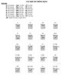 Các điệu đàn Guitar phổ biến và Hướng dẫn cách đánh